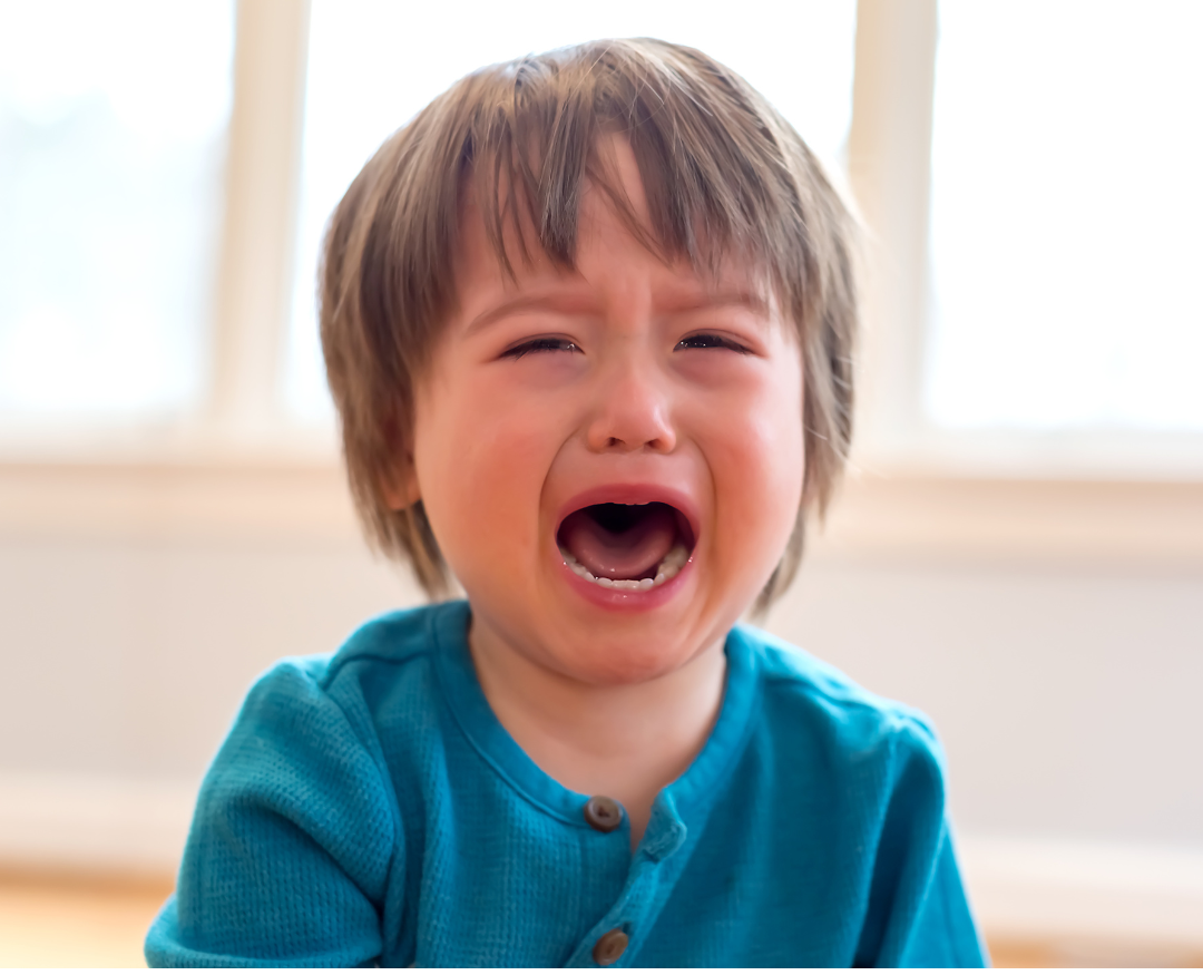 The Reflex Path: Fear Paralysis Reflex – Sense Able Brain